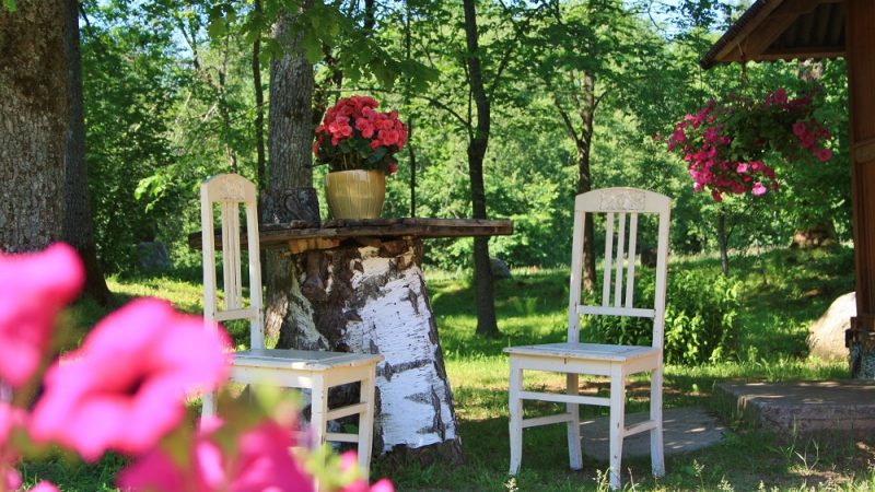 Atpūtas vieta “Dižozoli”